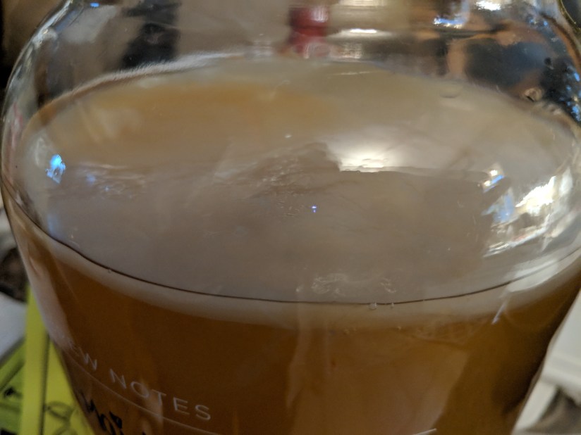 Kombucha – Home brew life – The Southern Yankee Mom